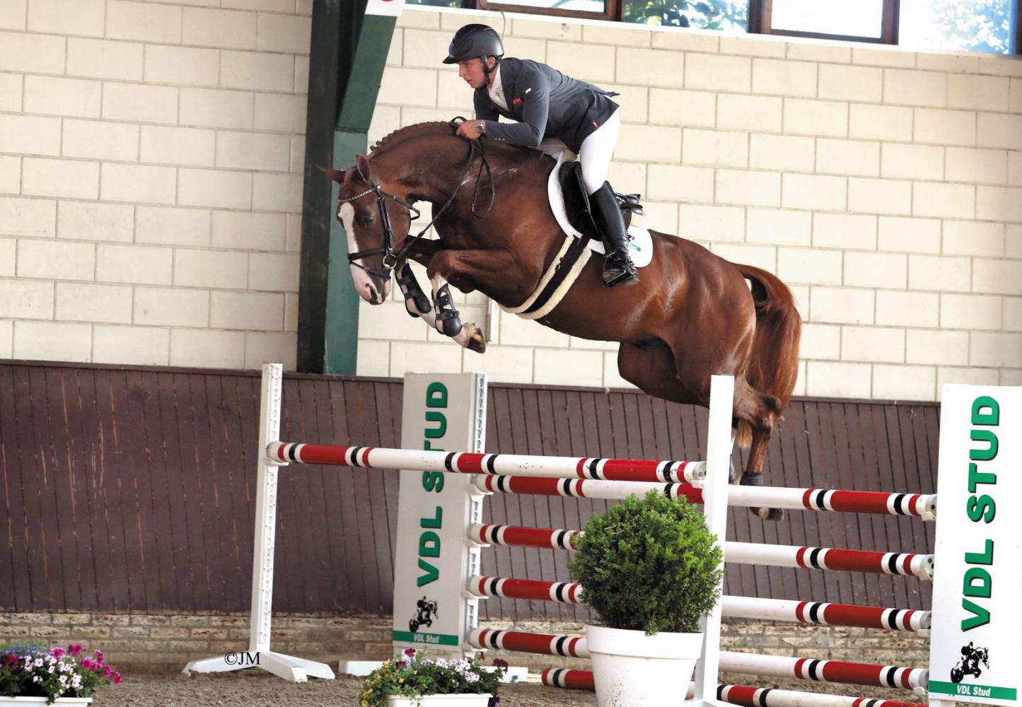 For Friendship - The Stallion Shop