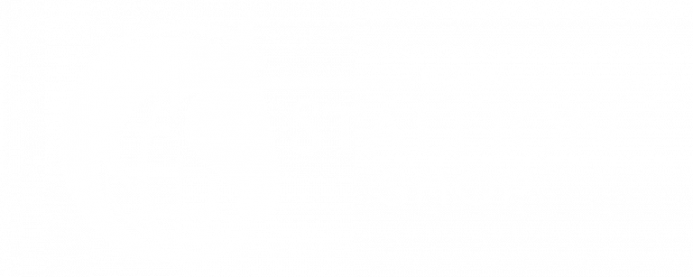 Night Life VDL - The Stallion Shop