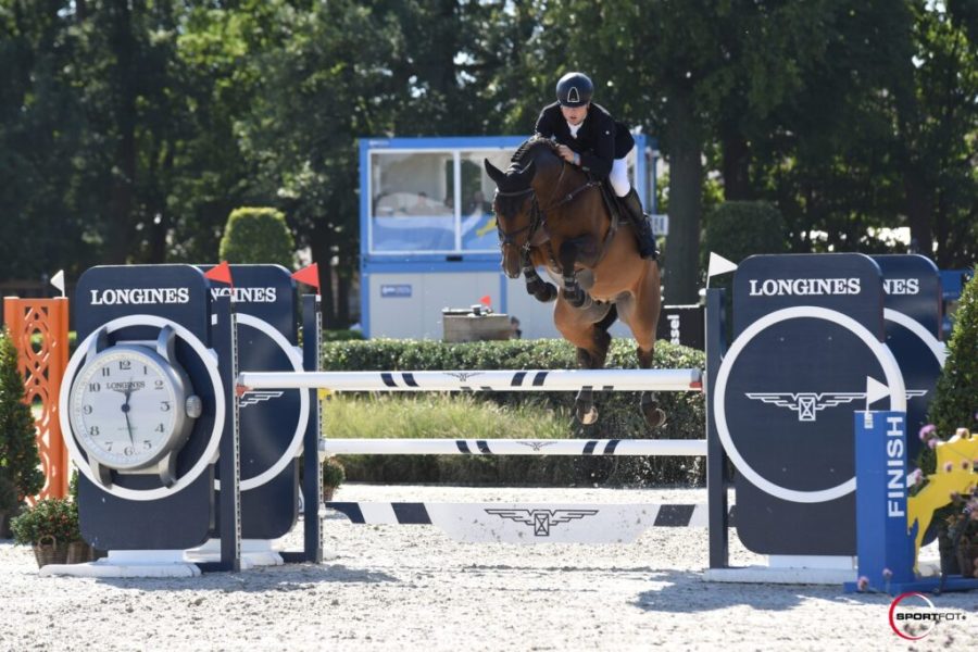 Cero Blue TN - The Stallion Shop