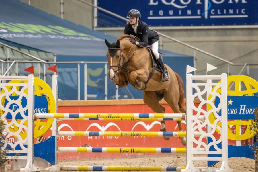 Q'Chacco Blue Van Essene - The Stallion Shop